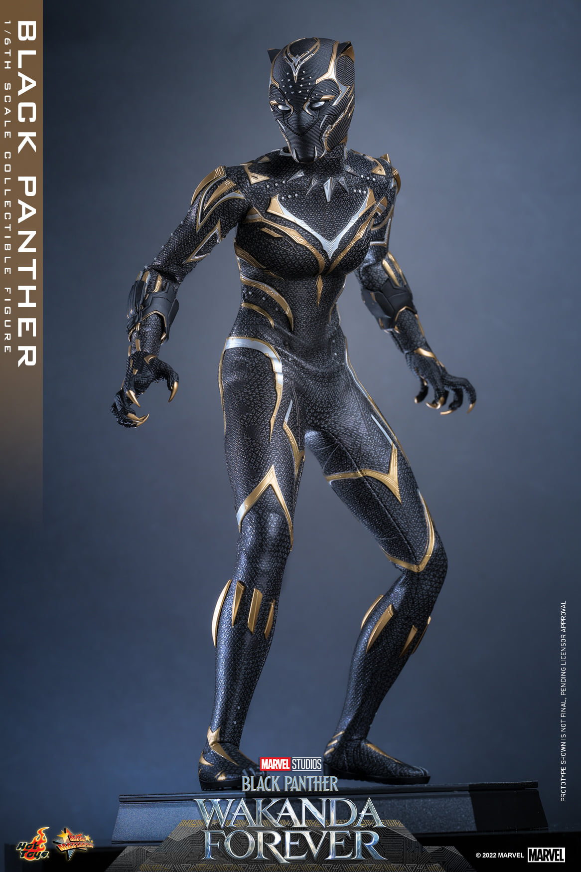 Hot Toys MMS 675 Black Panther : Wakanda Forever – Hot Toys Complete ...